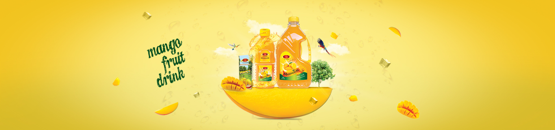 Home base - Mashmoom